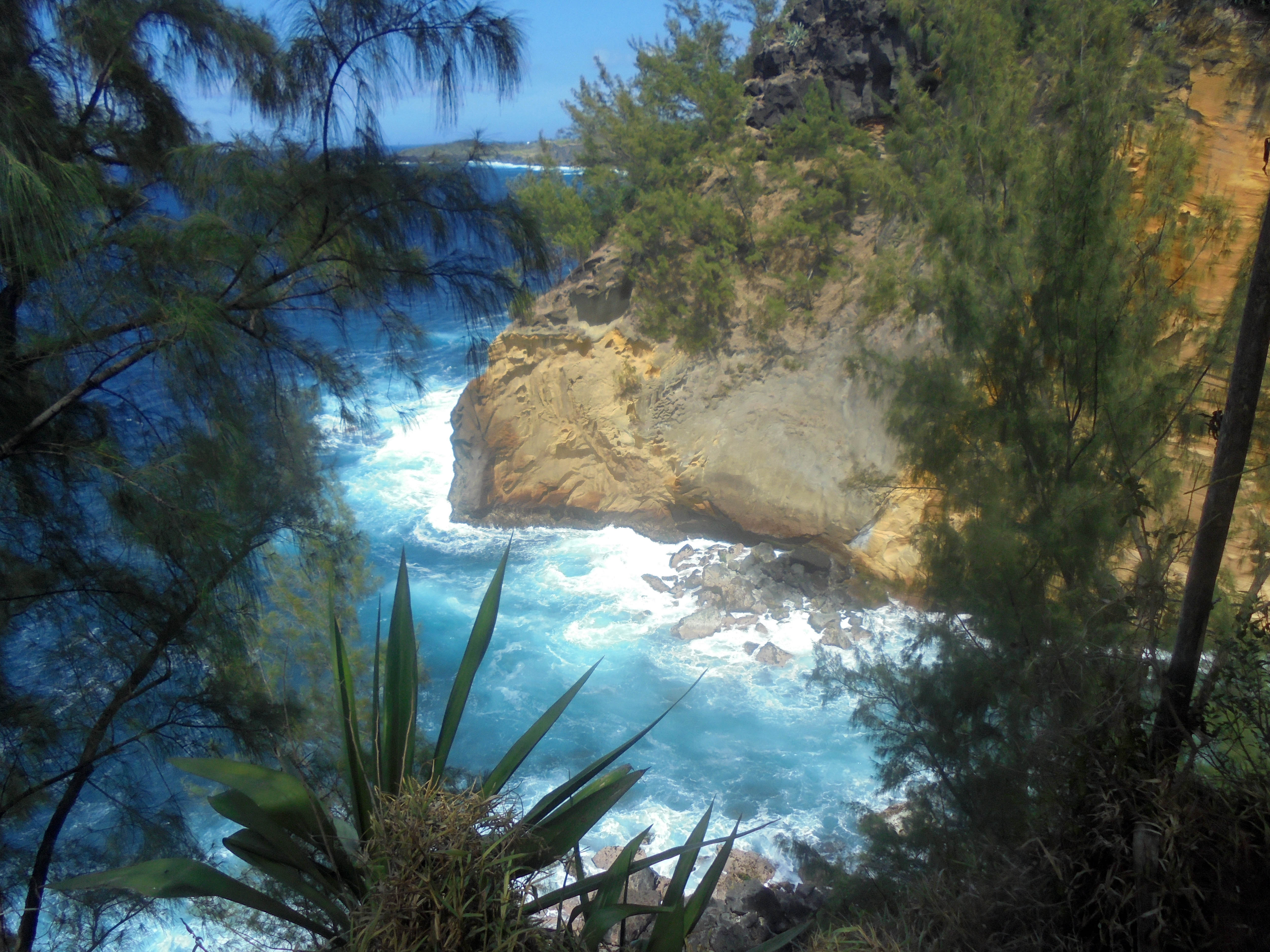 Randonnée facile à l’île de la Réunion, Sud Sauvage : De Vincendo à Cap ...