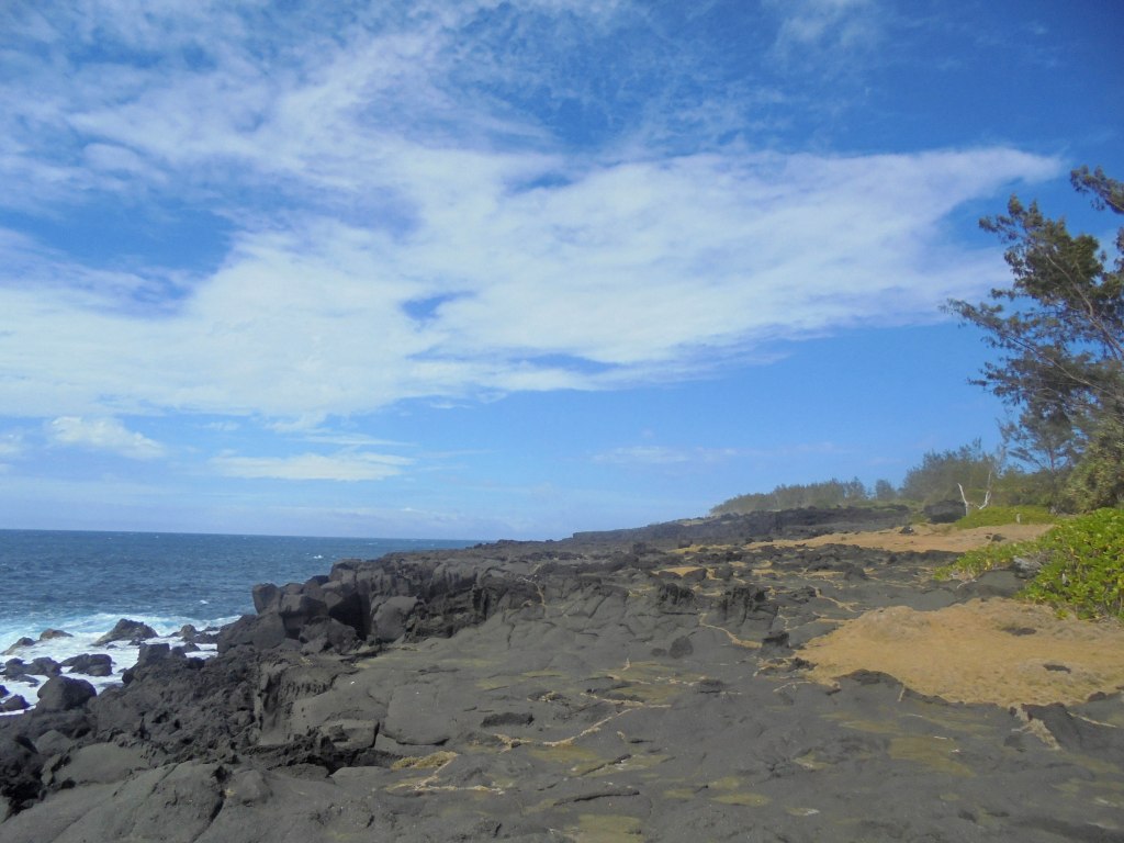Randonnée facile à l’île de la Réunion, Sud Sauvage : De Vincendo à Cap ...