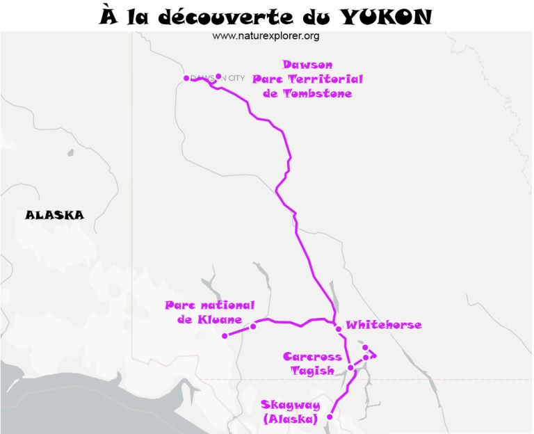 Voyage au Yukon, Canada : Immersion au coeur d’un territoire d’une ...