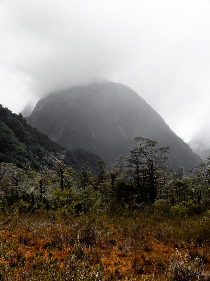 « Great walk » en Nouvelle-Zélande : Retour d’expérience sur la ...