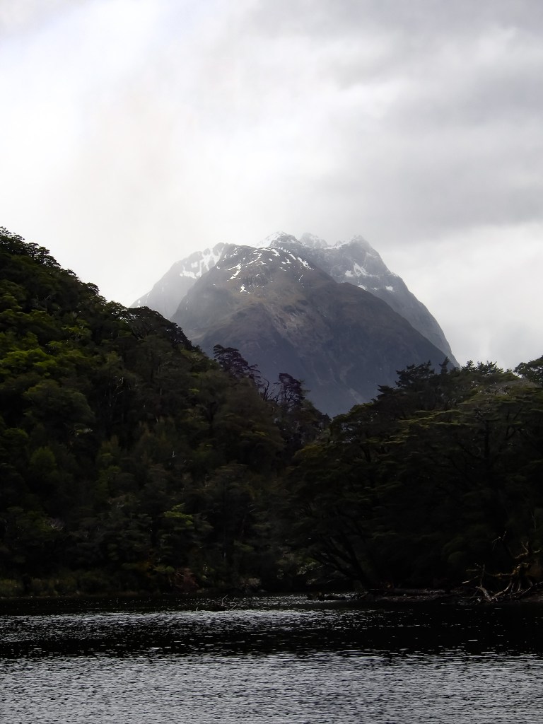 « Great walk » en Nouvelle-Zélande : Retour d’expérience sur la ...
