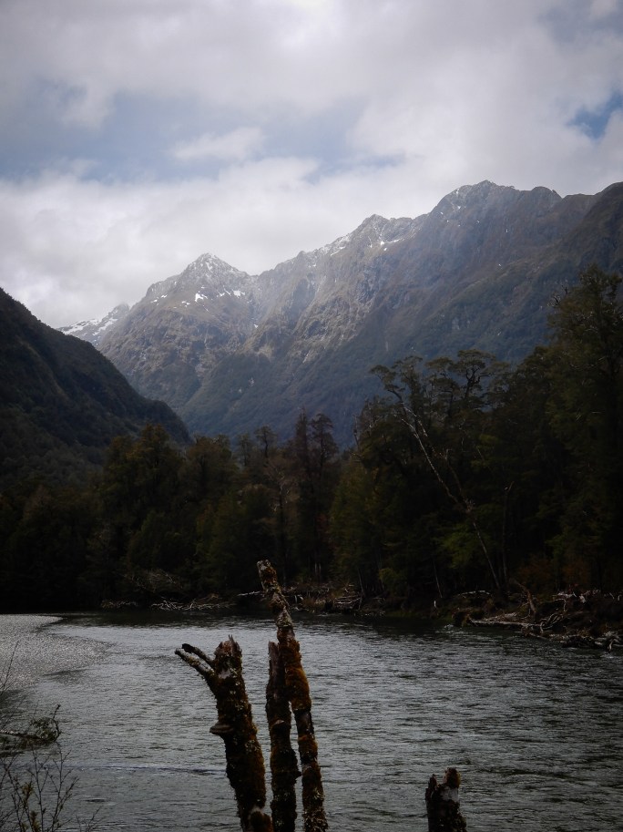 « Great walk » en Nouvelle-Zélande : Retour d’expérience sur la ...